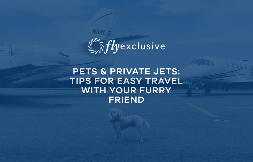 Newsroom | Pets & Private Jets: Tips for Easy Travel with your Furry Friend | flyExclusive